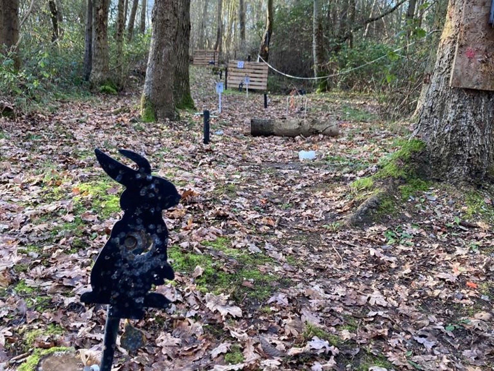 Air Rifle | High Lodge Suffolk, Suffolk's Premier Air Rifle ranges