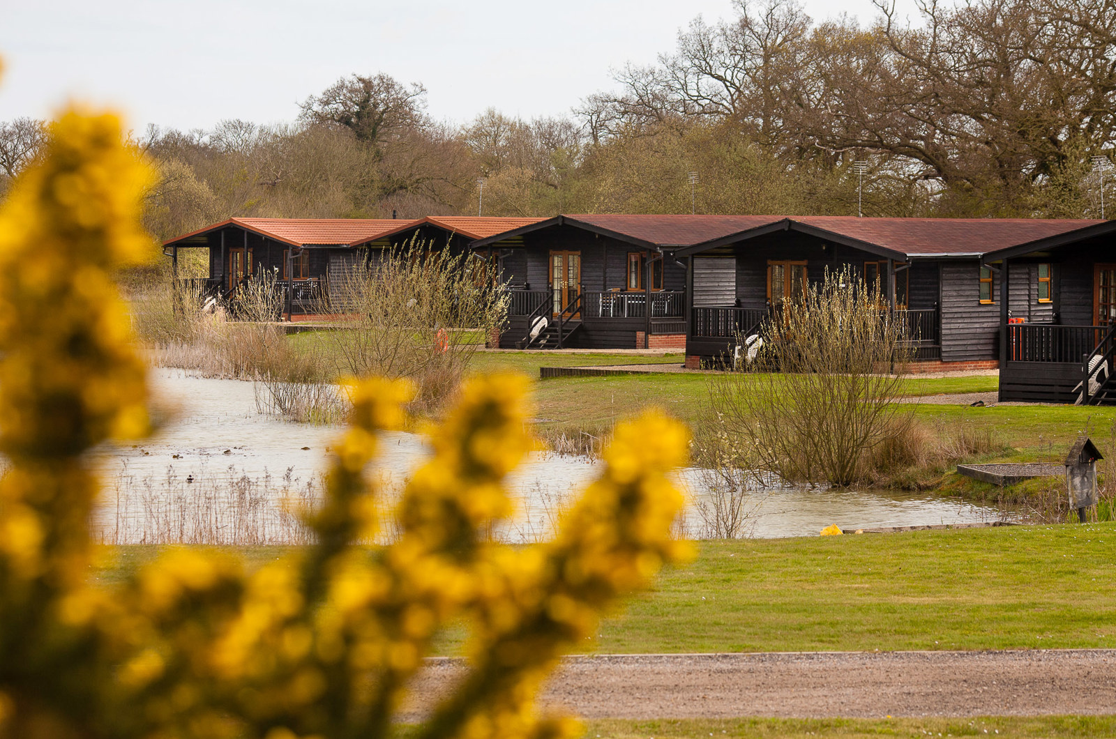 Lodge Gallery | High Lodge