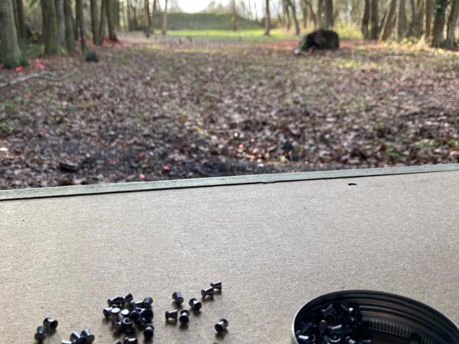 Air Rifle | High Lodge Suffolk, Suffolk's Premier Air Rifle ranges