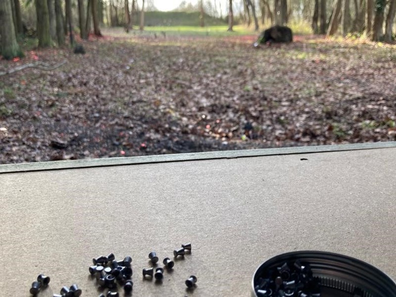 Air Rifle | High Lodge Suffolk, Suffolk's Premier Air Rifle ranges